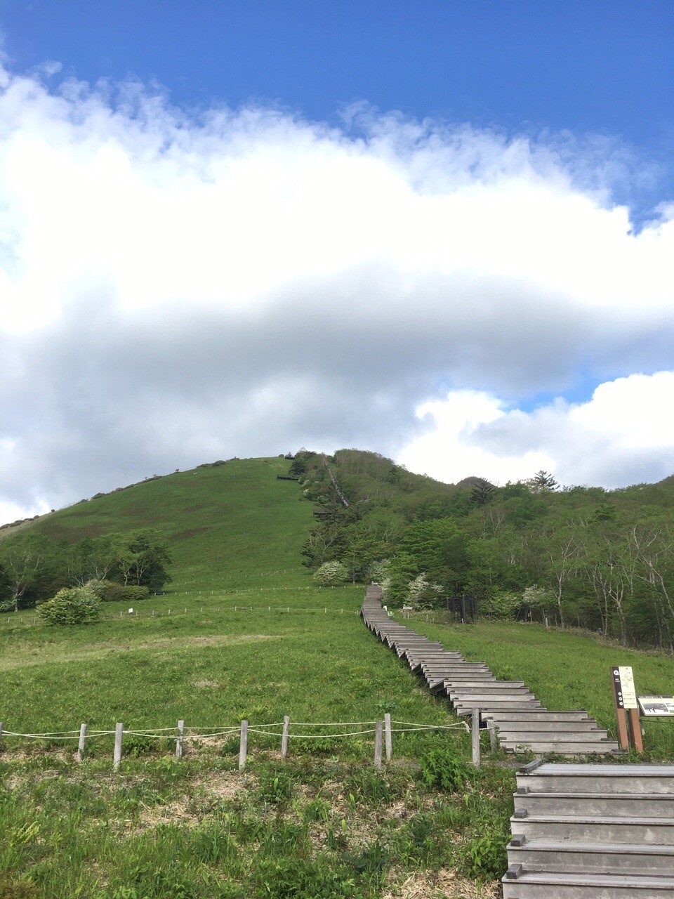 【女峰山】女帝👑の貫禄 / N☆B☆Jさんの女峰山・赤薙山・大真名子山の活動データ | YAMAP / ヤマップ
