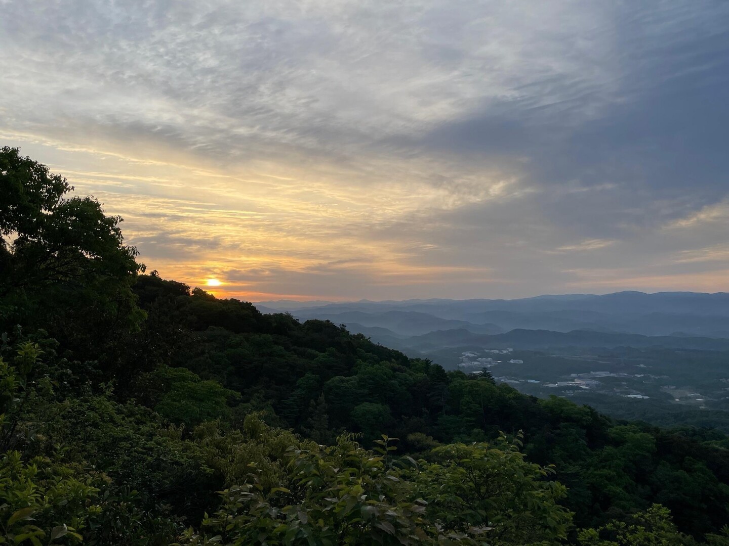 猿投山 / Ito_sanさんの猿投山・物見山の活動データ | YAMAP / ヤマップ