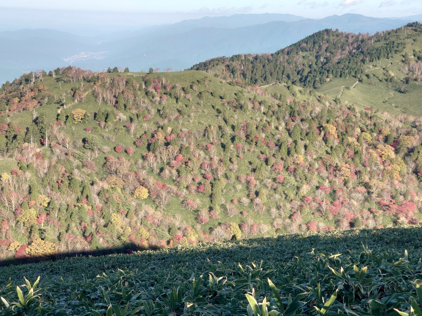 yu_17さんの投稿したフィールドメモ | YAMAP / ヤマップ