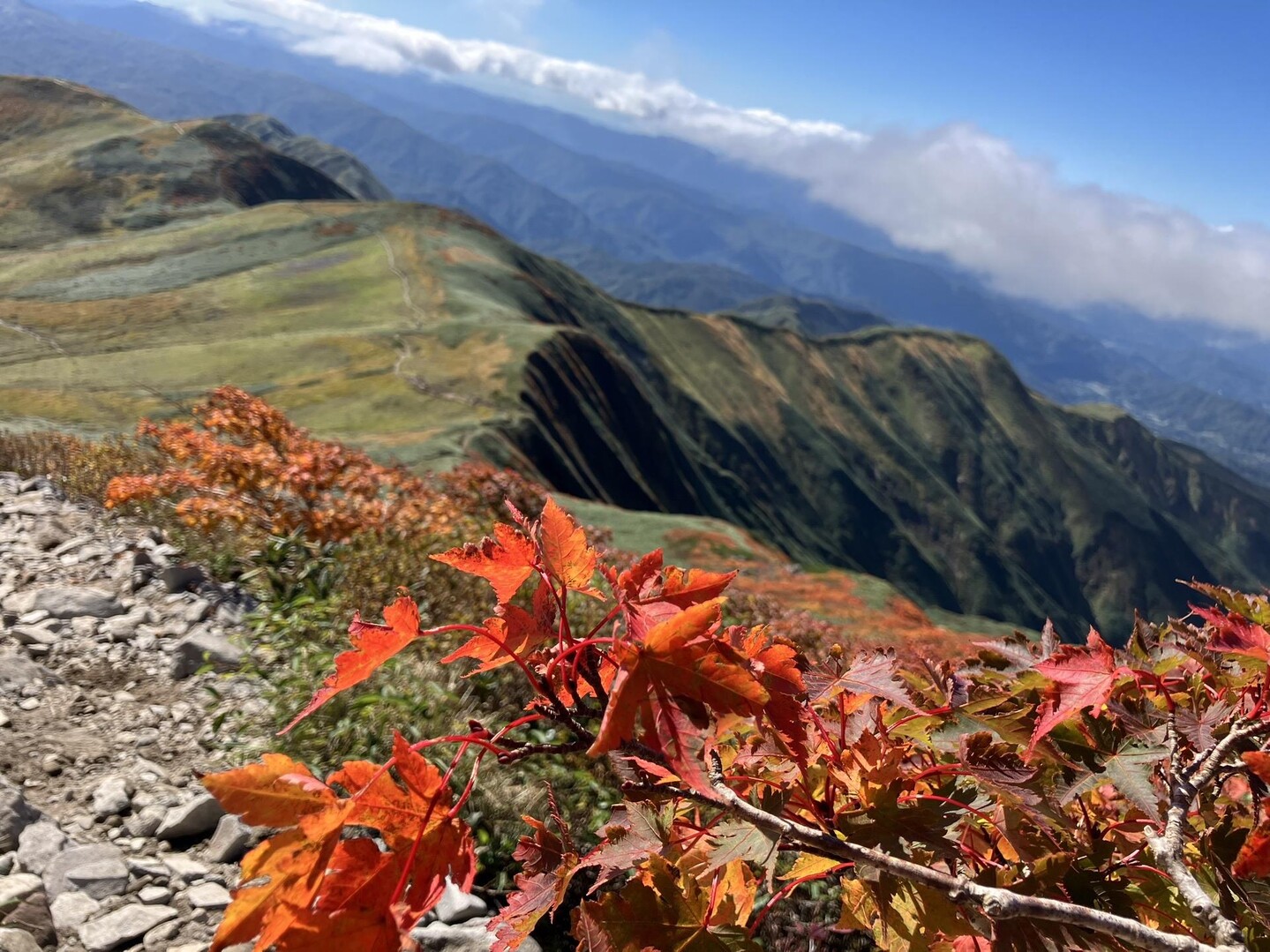 姥ヶ岳・柴灯森・月山 / mskさんの月山の活動データ | YAMAP / ヤマップ