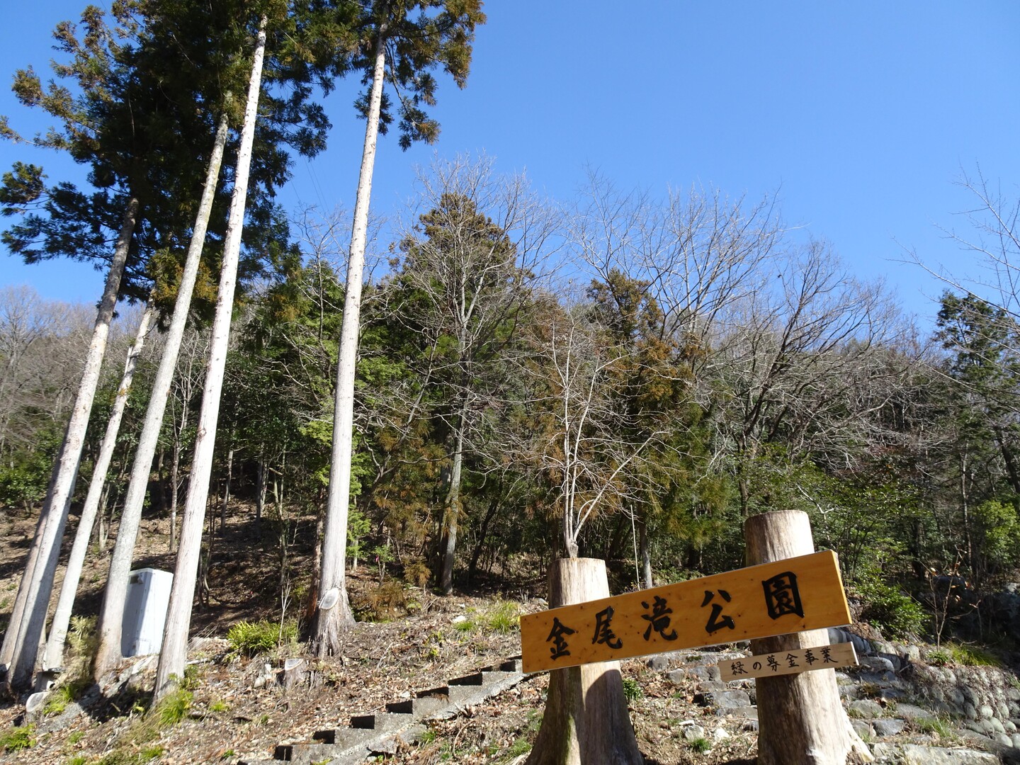金尾滝周辺で休憩💕💕💕 大谷山（岐阜県）・滝谷山・雁又山-2023-01-17 / mooかめさんの大谷山（岐阜県）・滝谷山・雁又山の活動データ | YAMAP / ヤマップ