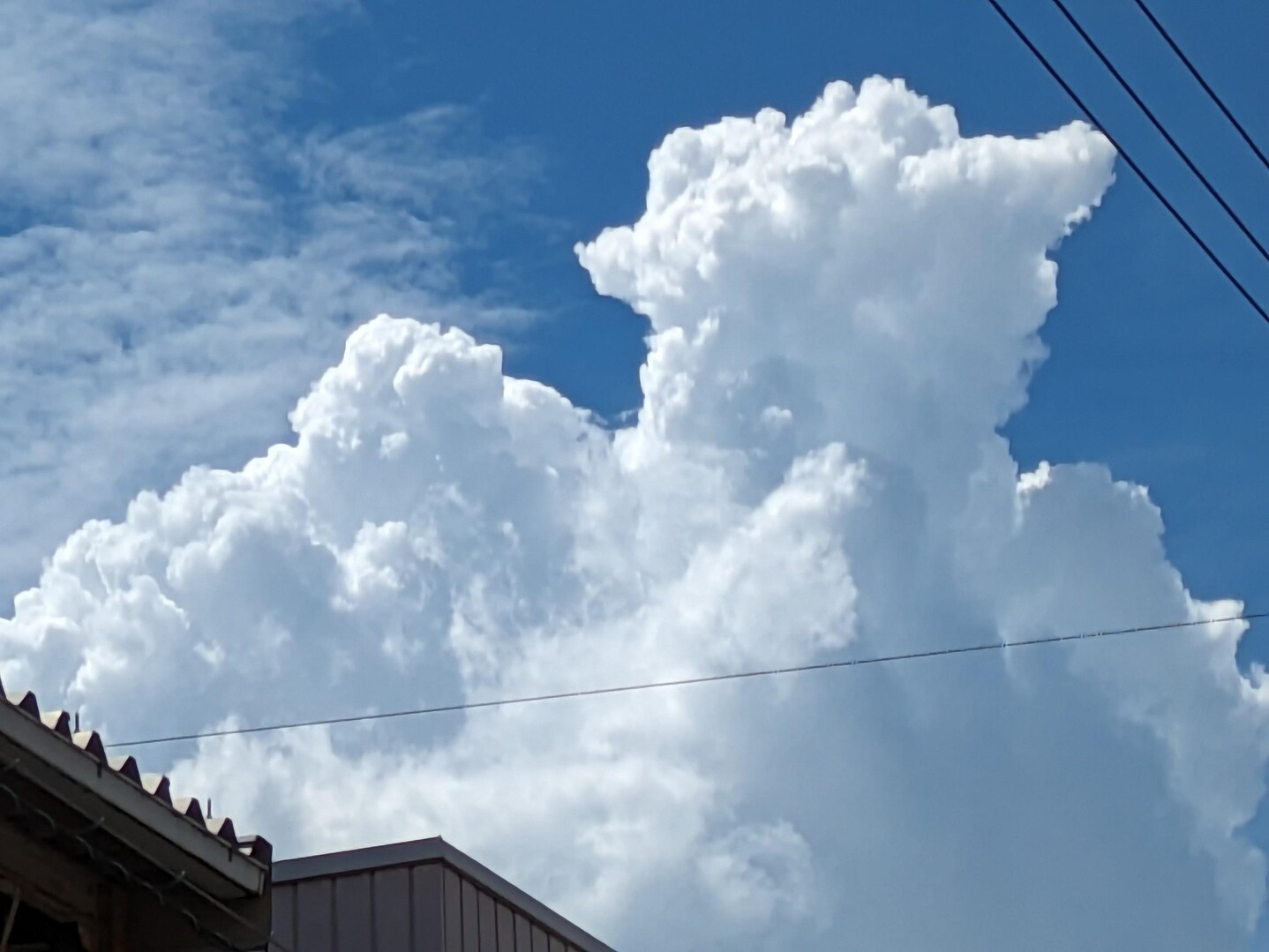 うわぁー！！くまのプーさんみたいな雲☁ ... / kecoさんのモーメント | YAMAP / ヤマップ