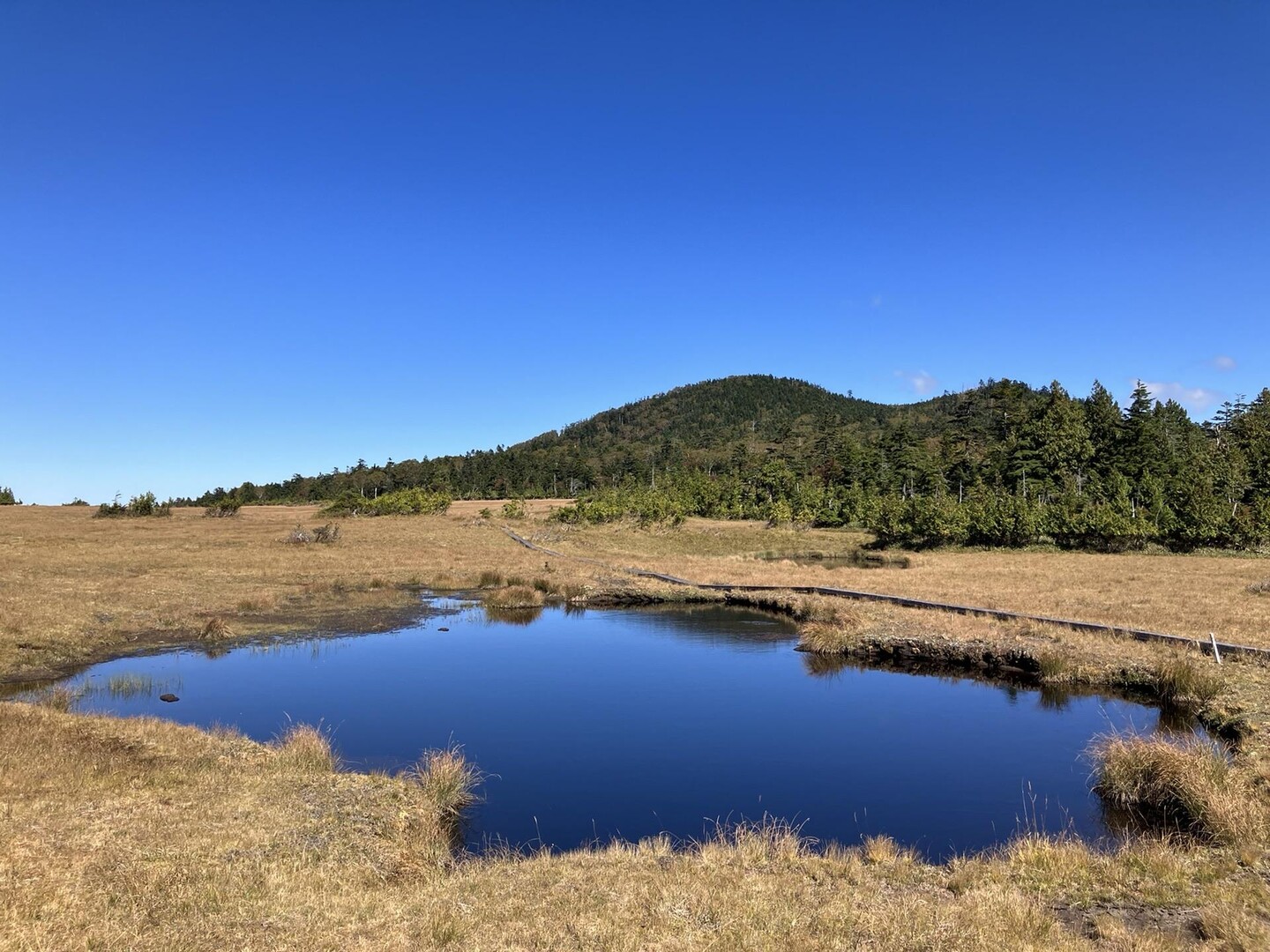 鬼怒沼山 / 727Kさんの鬼怒沼山・物見山・黒岩山の活動データ | YAMAP / ヤマップ