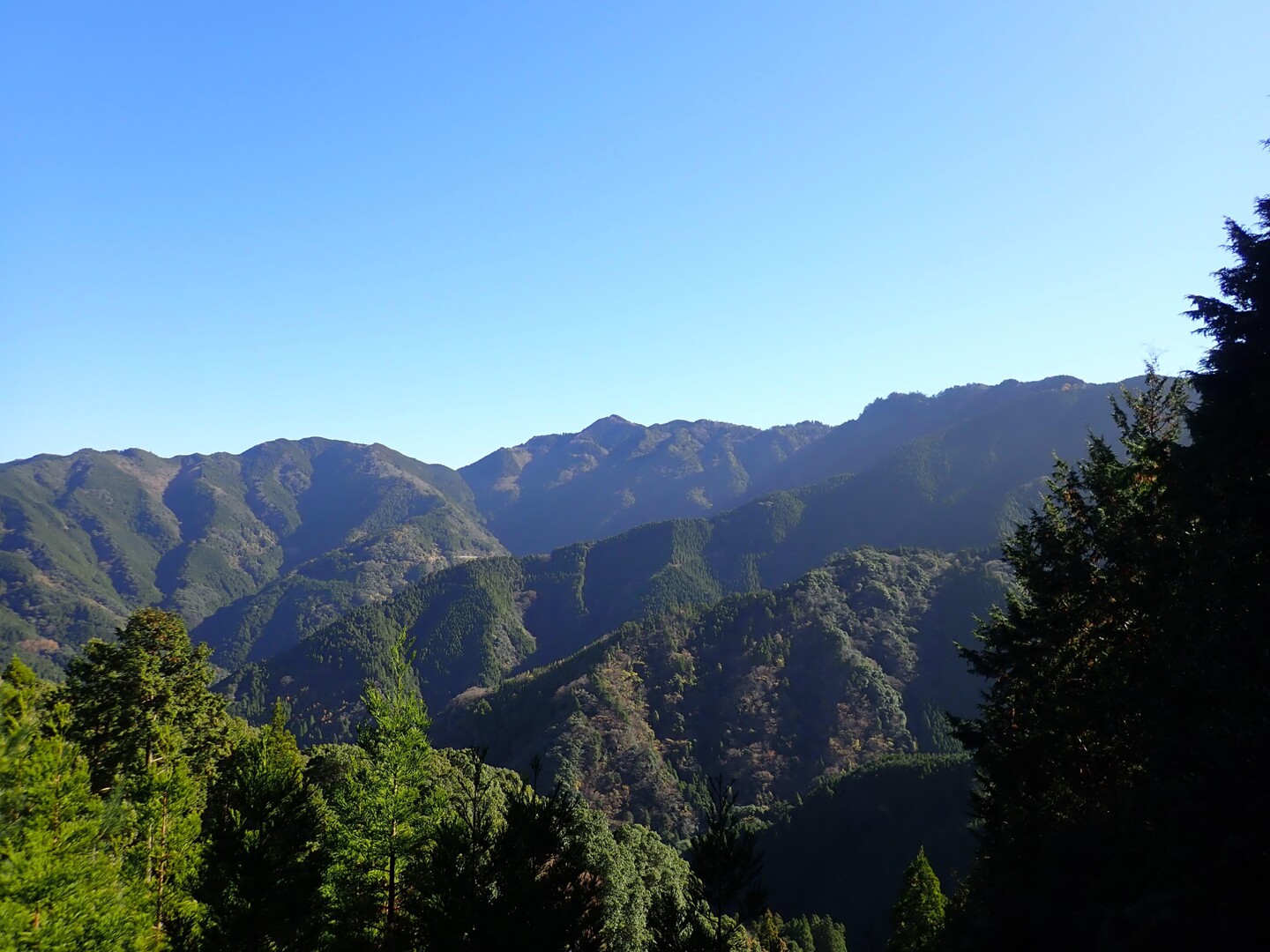大行寺山・白山・権現山 R5.12.8 / かわとんぼさんの大行寺山の活動データ | YAMAP / ヤマップ