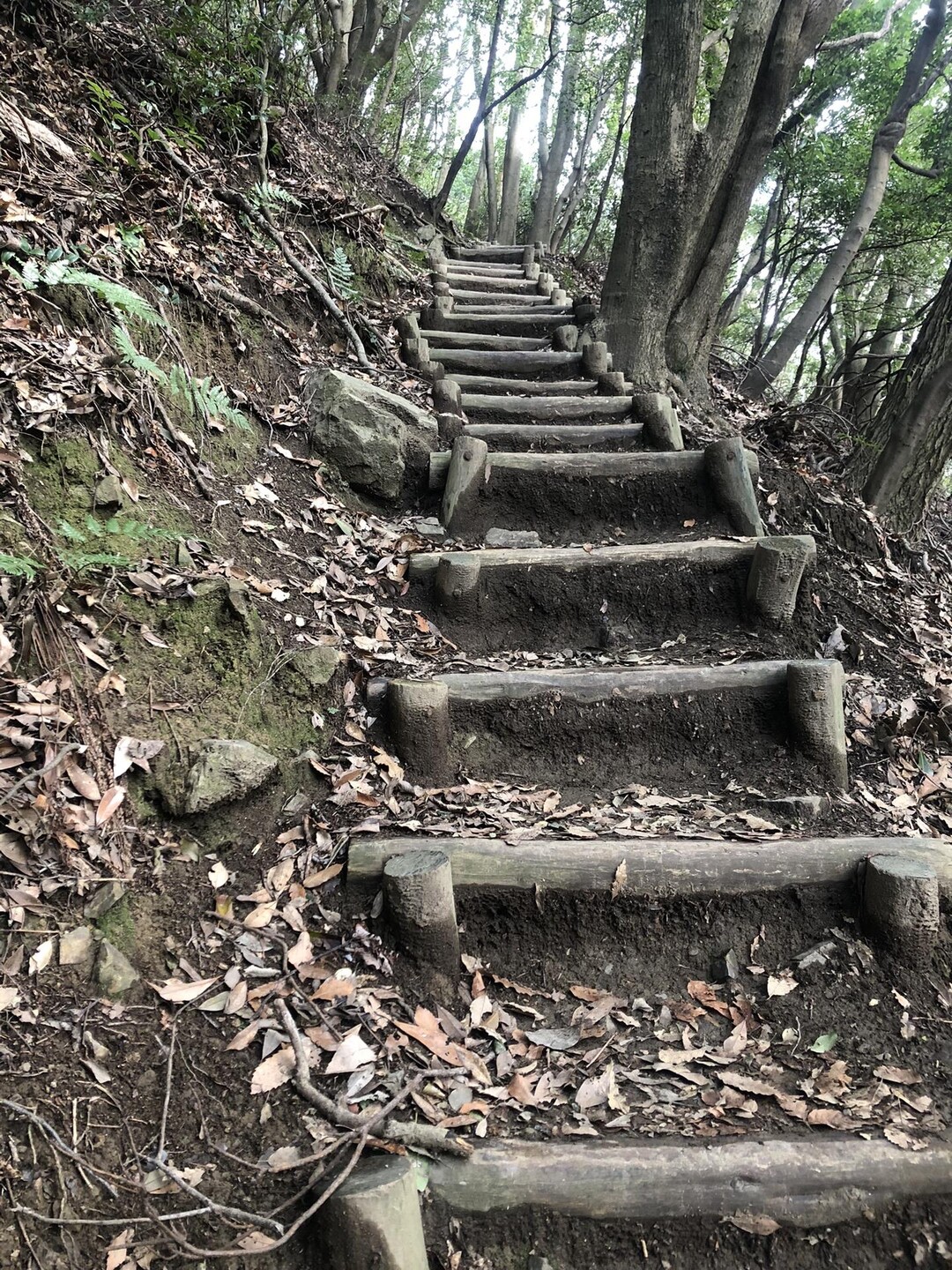 足立山・戸ノ上山-2023-02-21 / Yuu🔰さんの足立山・戸ノ上山の活動データ | YAMAP / ヤマップ