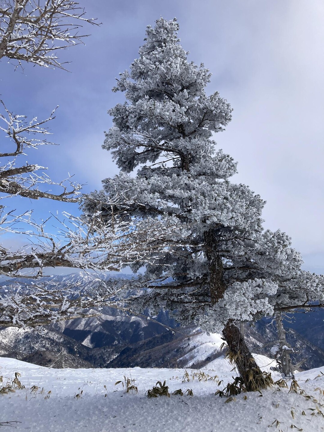 コリトリ〜一の森 今日は初コリトリから... / HARuさんのモーメント | YAMAP / ヤマップ