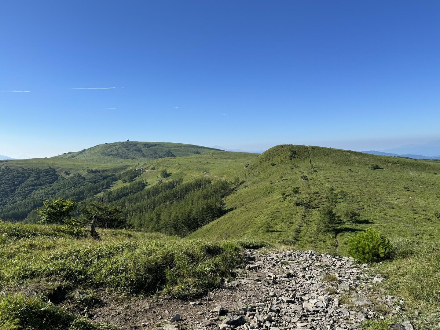 朝のお散歩♬霧ヶ峰 / hirosyさんの霧ヶ峰・車山・大笹峰の活動データ | YAMAP / ヤマップ
