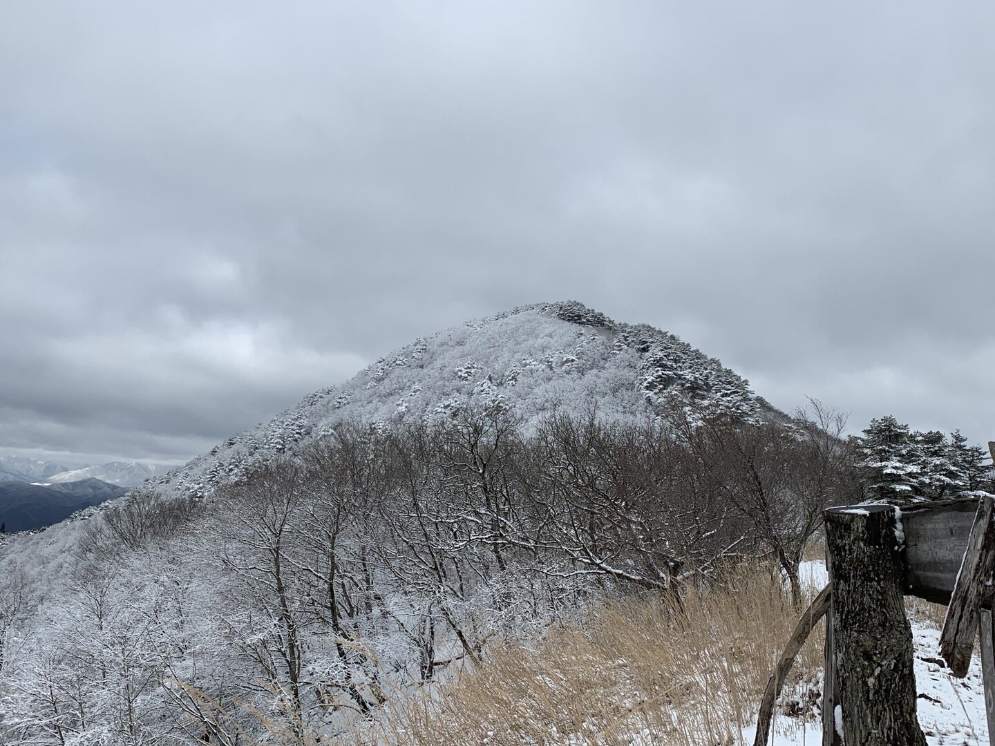 雨乞山(あまごいせん)889.1m / ケロコさんの雨乞山の活動データ | YAMAP / ヤマップ