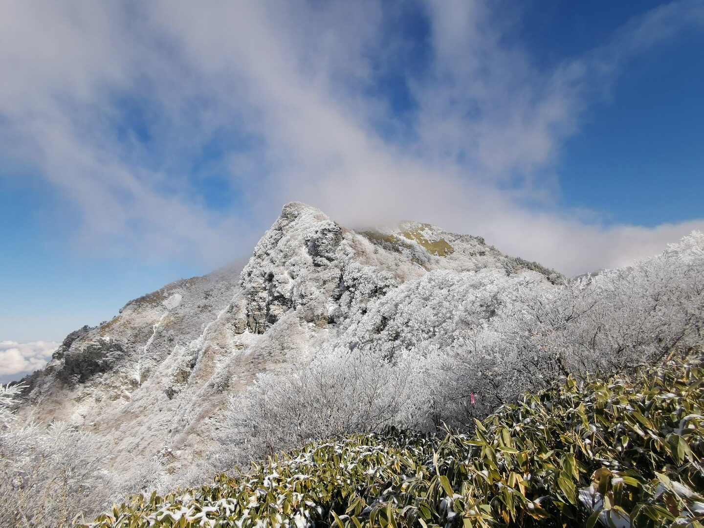 今日の寒風山、ここまでは最高でした。 結... / FRVさんのモーメント | YAMAP / ヤマップ