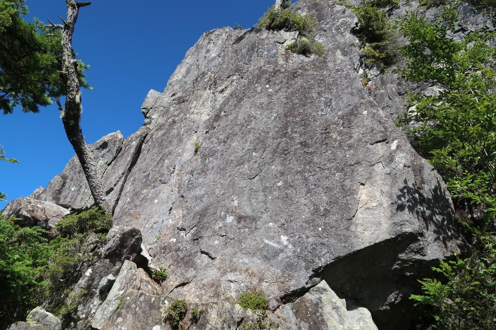 鶏冠山・木賊山 / KJR-Rさんの甲武信ヶ岳の活動データ | YAMAP / ヤマップ