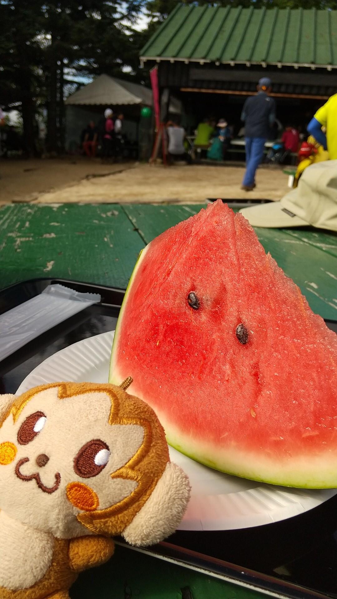 スイカ美味しい😆 / kumakoさんのモーメント | YAMAP / ヤマップ
