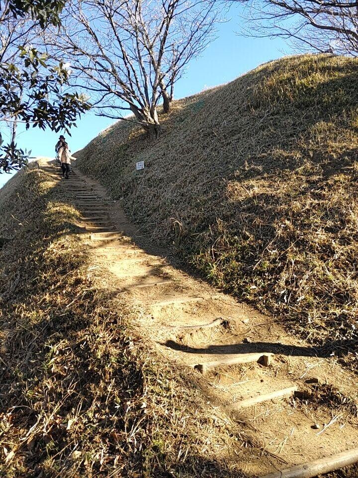桝形山【312.3m】浄眼寺・座禅石周回ｺｰｽ / さとちゃんさんの堀坂山・観音岳・桝形山（白米城）の活動データ | YAMAP / ヤマップ