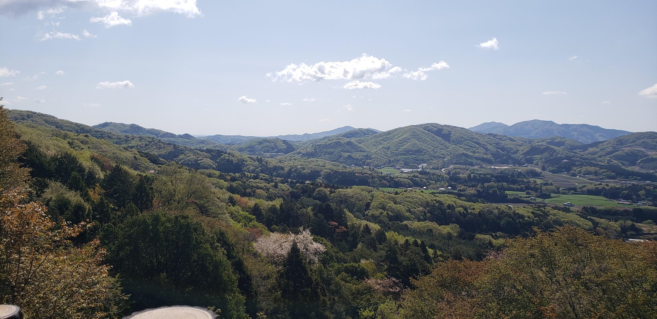 高峯 / Shuu-jiさんの高峯・仏頂山の活動データ | YAMAP / ヤマップ