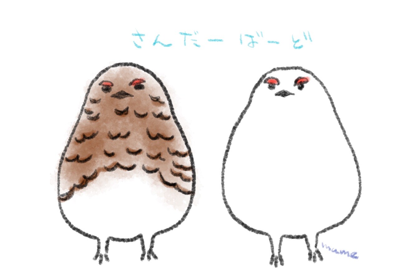 mameのページ | YAMAP / ヤマップ