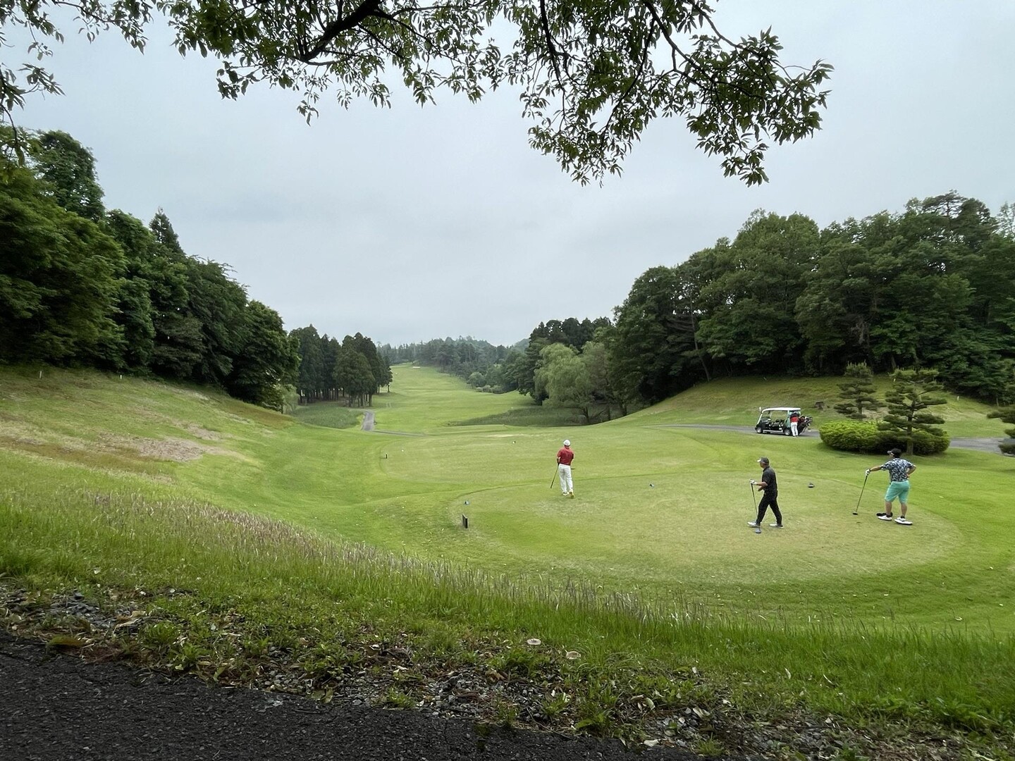 ゴルフ場が登山道🙄 リッチな鷹取山 / ゆきuんこさんの丈競山・浄法寺山・鷲ヶ岳の活動データ | YAMAP / ヤマップ