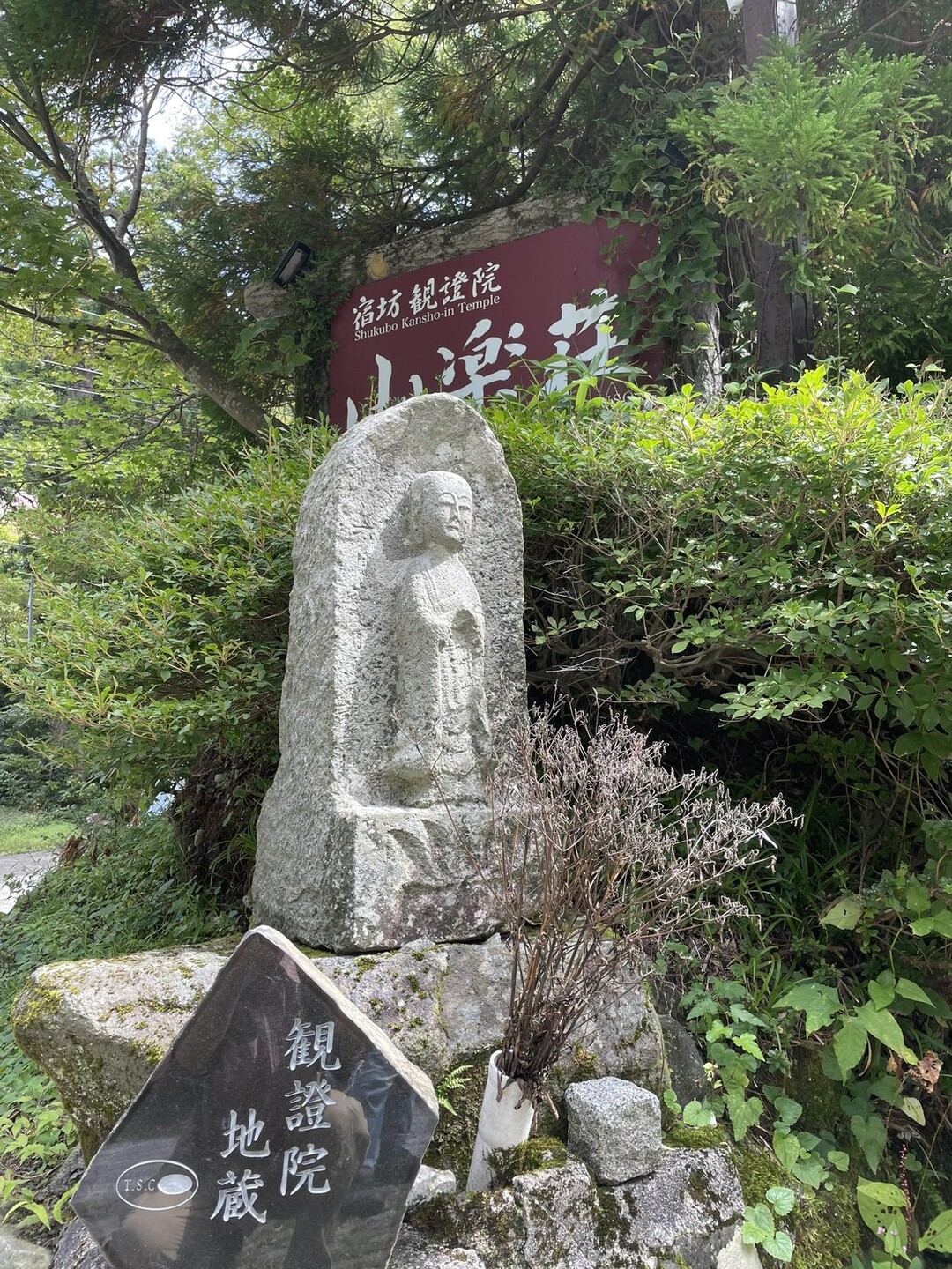 寂静山 / なべ(ワンゲルOB)さんの大山・甲ヶ山・野田ヶ山の活動データ | YAMAP / ヤマップ