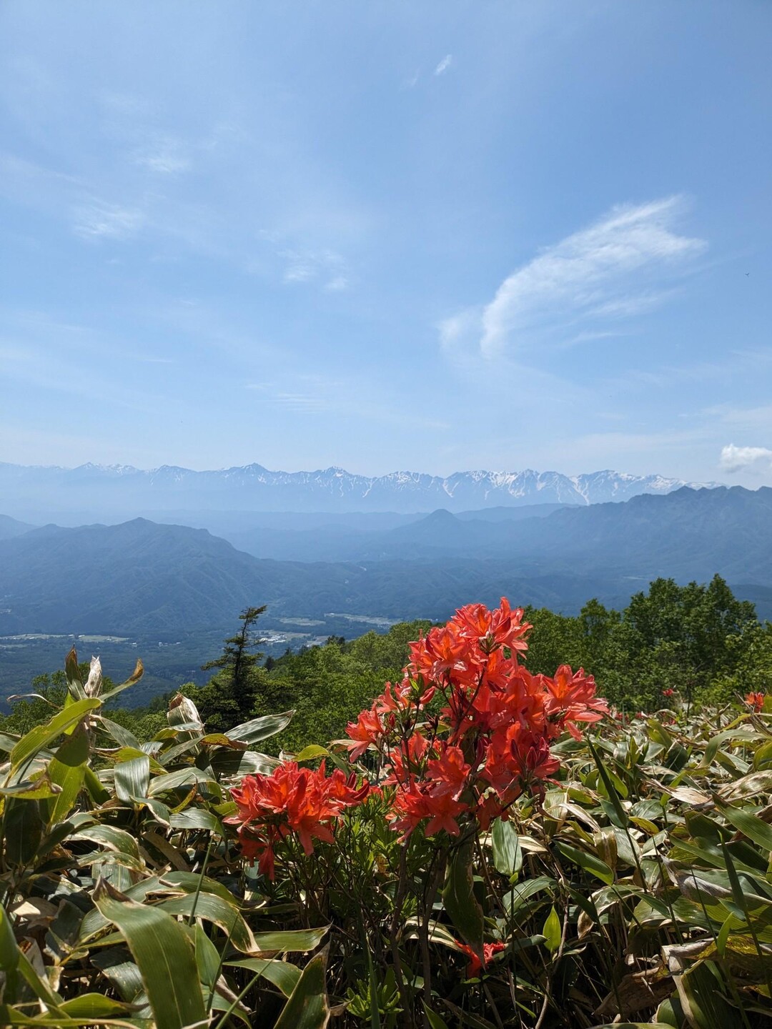 飯縄山-2023-06-18 / Kiyoさんの飯縄山の活動データ | YAMAP / ヤマップ