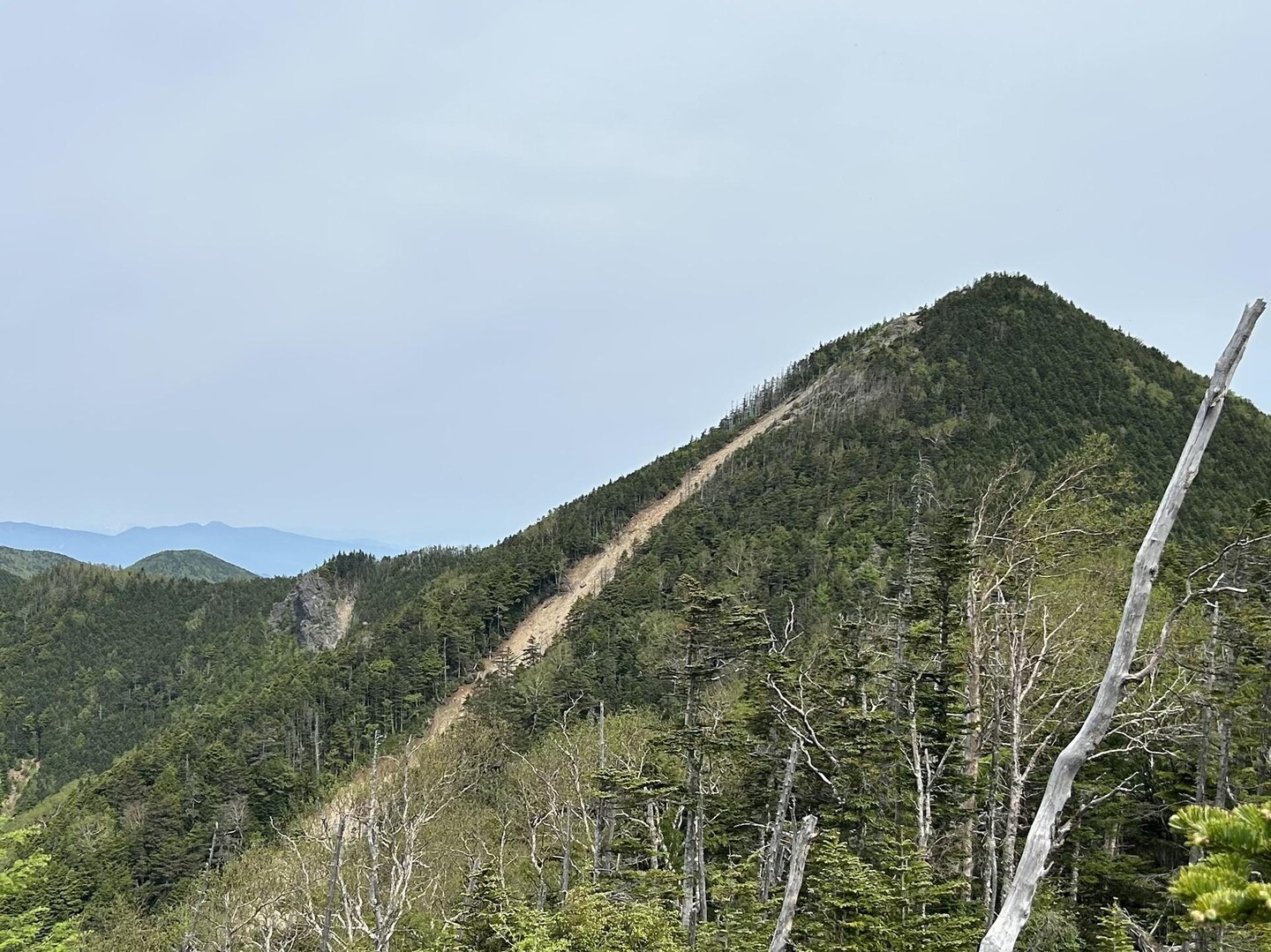甲武信ヶ岳-2023-06-17 / Pelliotさんの甲武信ヶ岳の活動データ | YAMAP / ヤマップ