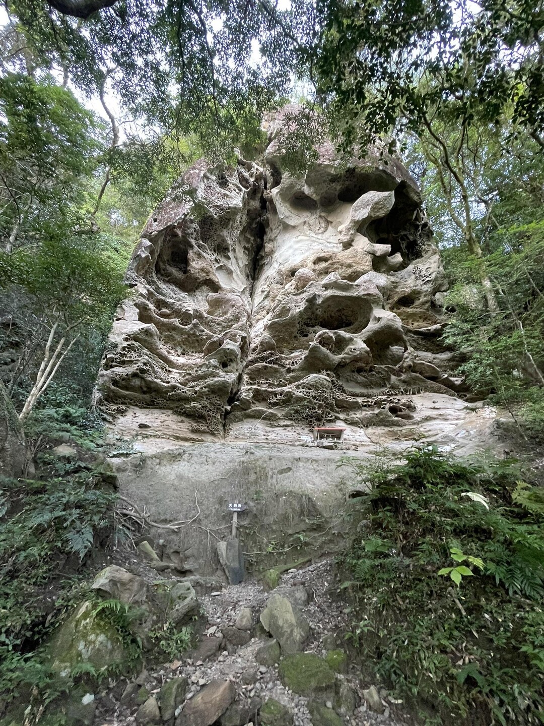 双石山からの加江田渓谷🌼 / AnKemiさんの双石山・花切山・岩壺山の活動データ | YAMAP / ヤマップ