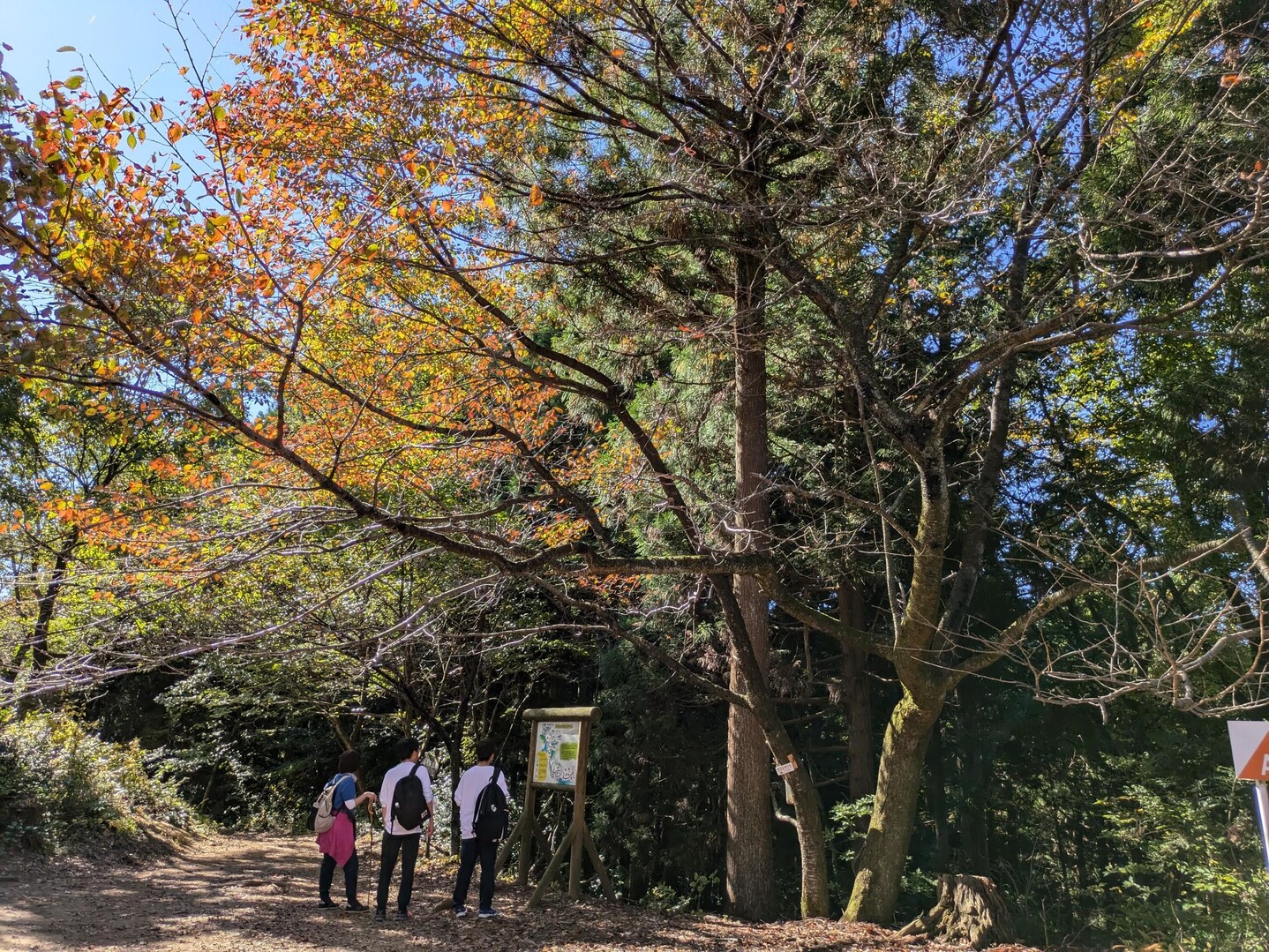 おさんぽ小文殊山 / opal糸さんの文殊山の活動データ | YAMAP / ヤマップ