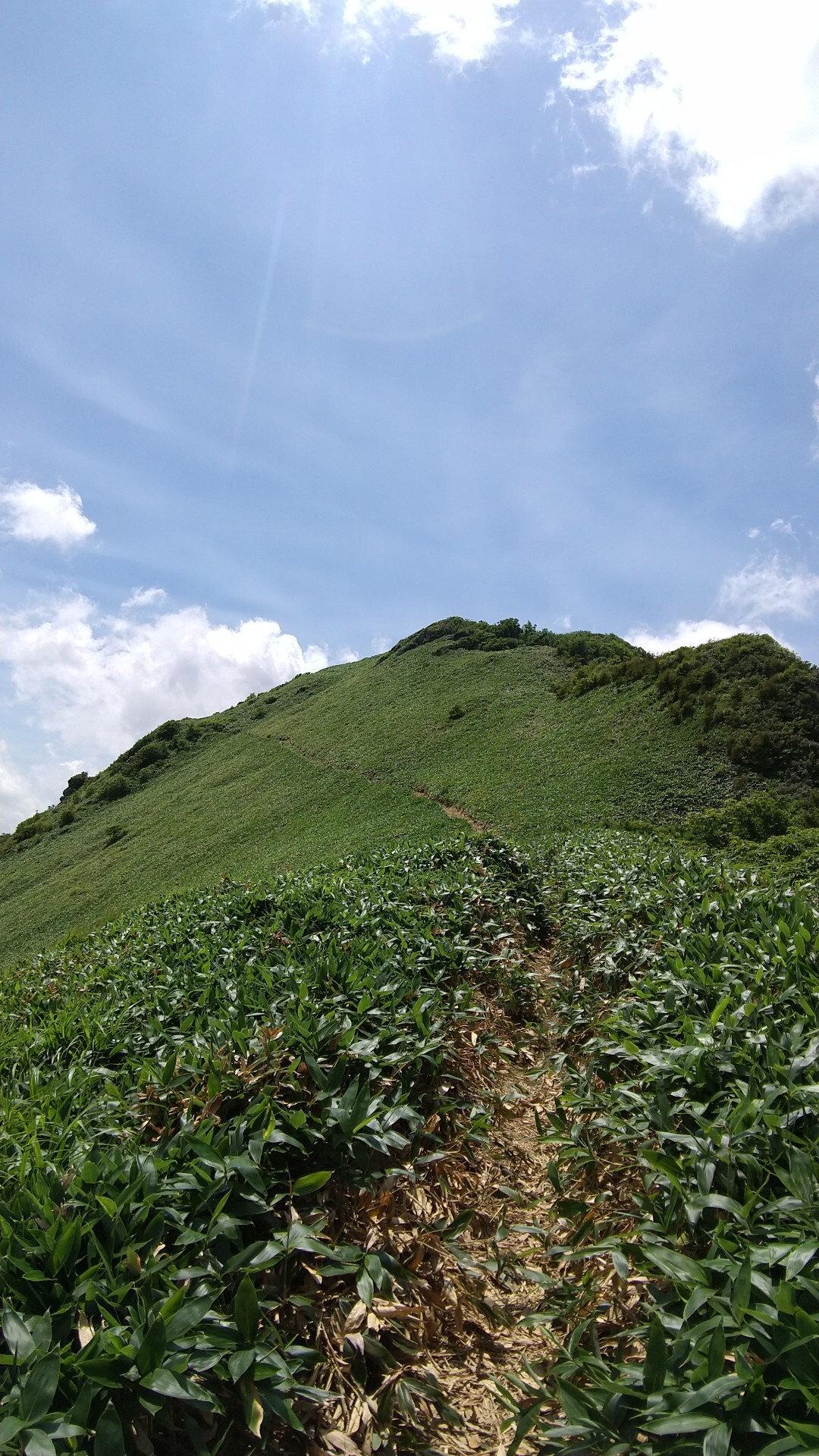 初めてのUFOライン！ 景色最高 テンシ... / コロさんのモーメント | YAMAP / ヤマップ