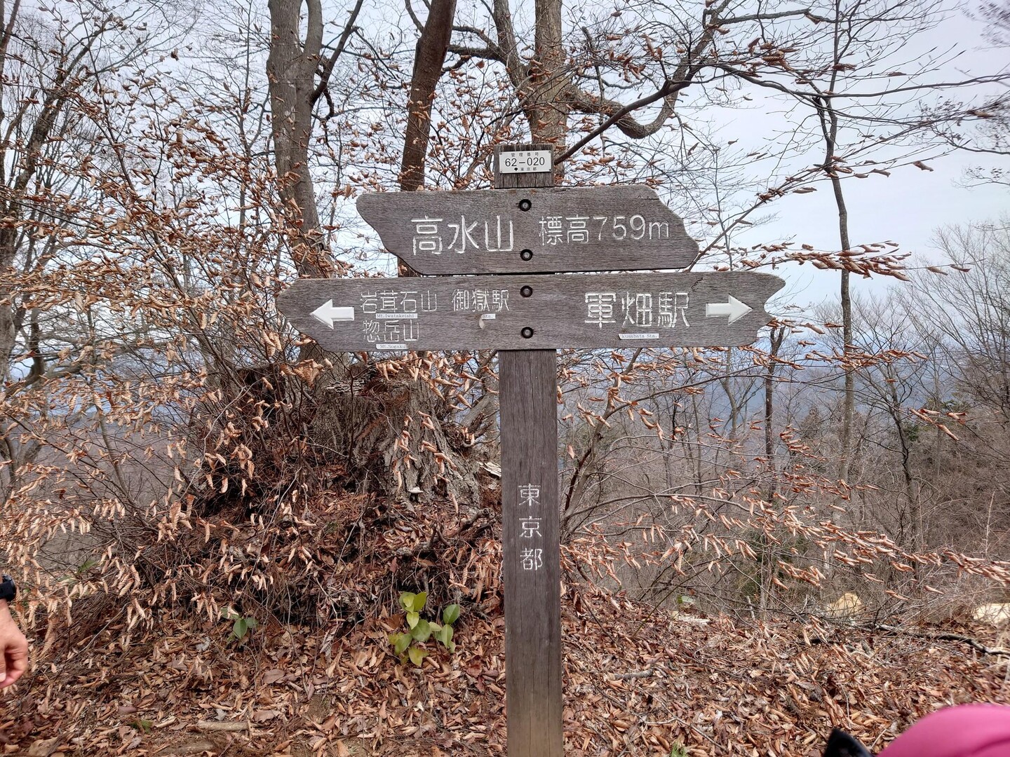 青梅駅高水山23km / きんちゃんさんの高水山・岩茸石山・惣岳山の活動データ | YAMAP / ヤマップ