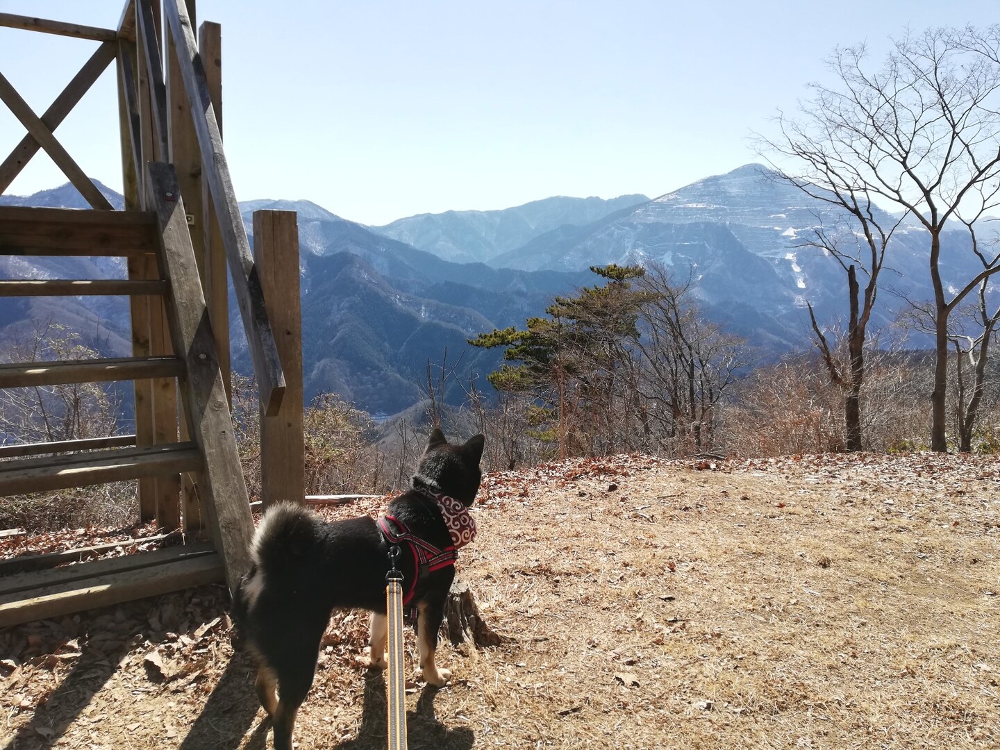 初めてのワンコとハイキング 芦ヶ久保氷柱と日向山 / k.mimuさんの丸山の活動データ | YAMAP / ヤマップ