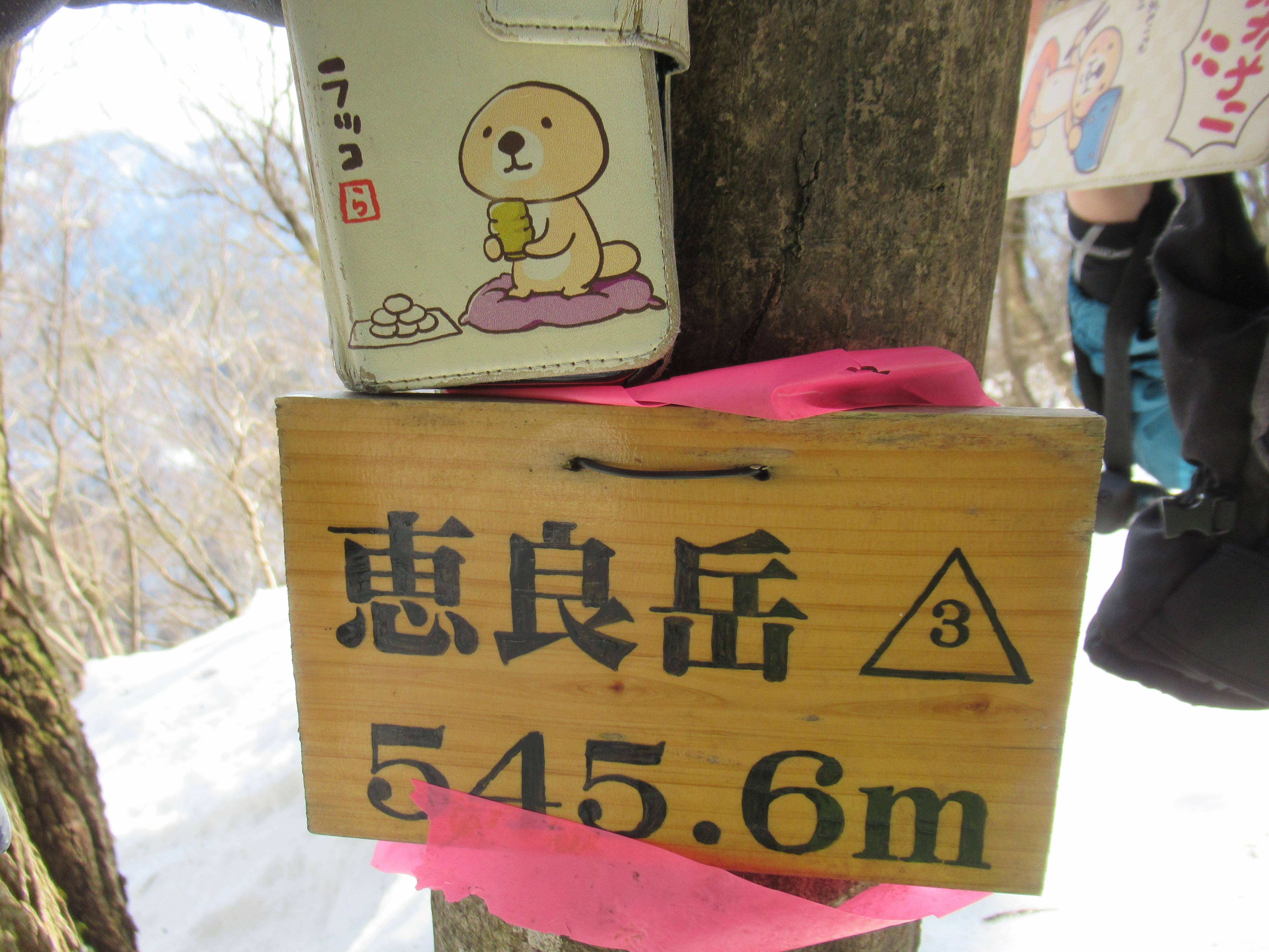 恵良岳 / むんどさんの富士写ヶ岳・小倉谷山・火燈山の活動データ | YAMAP / ヤマップ