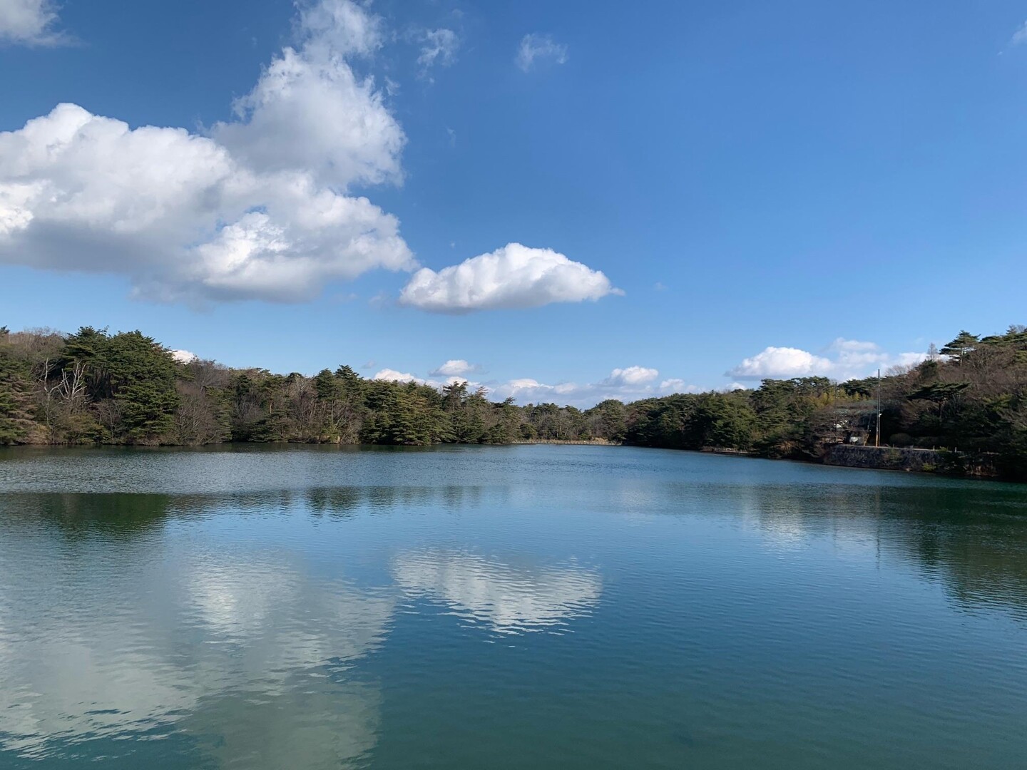 ごろごろ岳・荒地山 -2024-01-07 / まっちゃん1113さんの六甲山・長峰山・摩耶山の活動日記 | YAMAP / ヤマップ