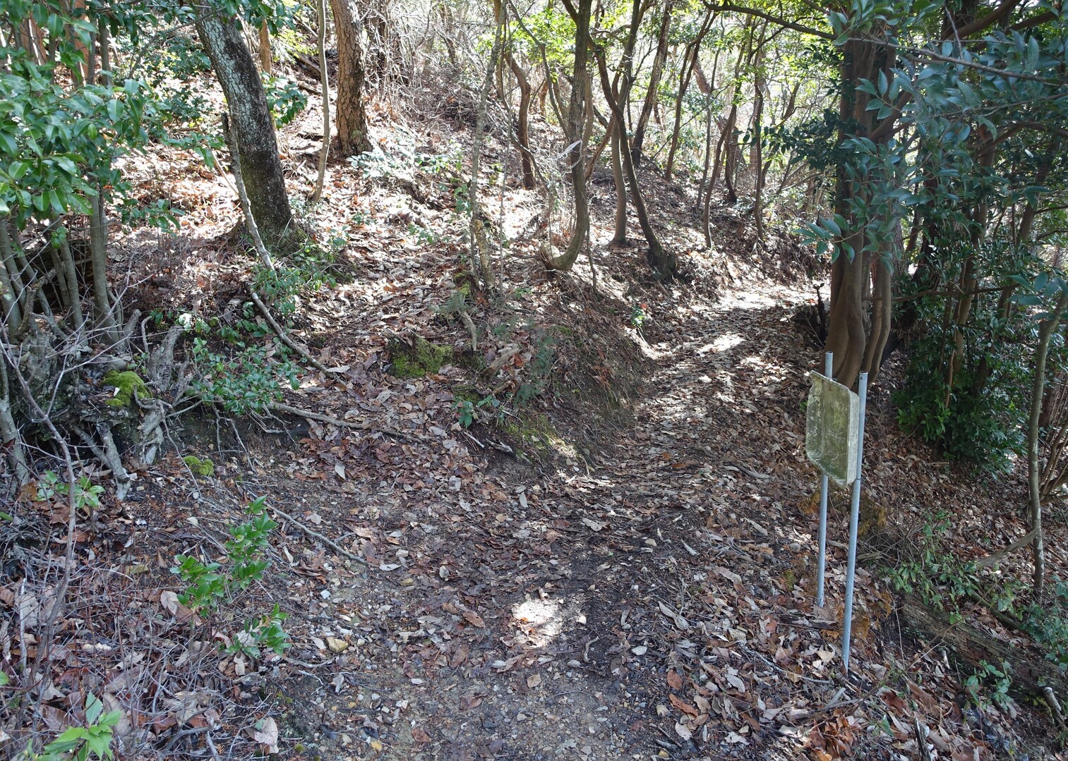 wtaxus わたくさすさんの投稿したフィールドメモ | YAMAP / ヤマップ