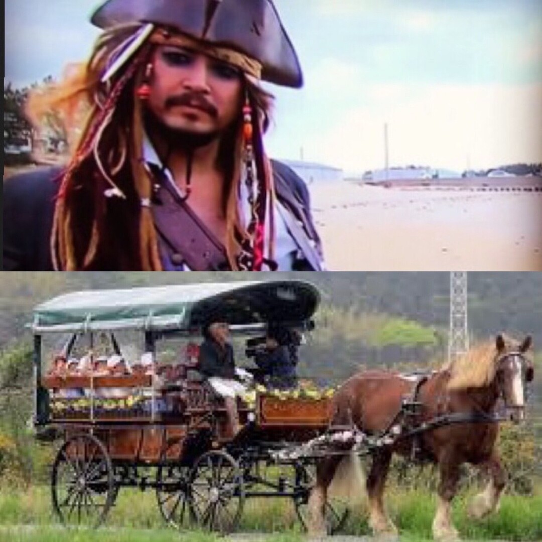 🐴https://youtu.be... / 【町興し仮装者】Captain Jack Sparrowさんのモーメント | YAMAP / ヤマップ