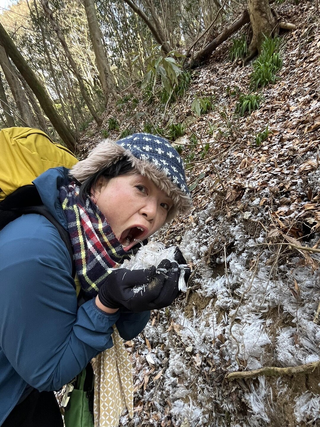 脊振山・鬼ヶ鼻岩 / hiyoさんの脊振山・金山の活動データ | YAMAP / ヤマップ
