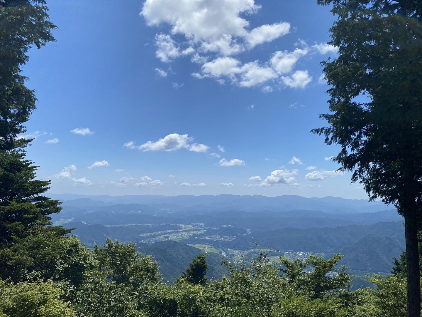 白猪山二ノ峰・白猪山・狼煙場山 / konさんの白猪山の活動データ | YAMAP / ヤマップ
