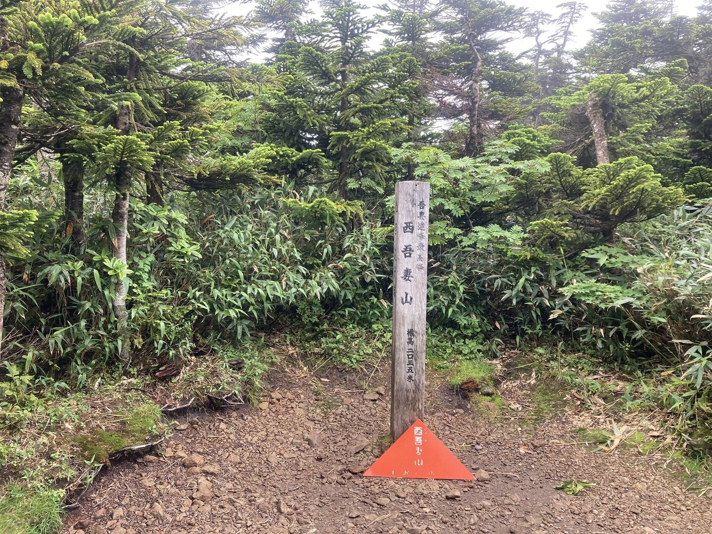 西大巓・西吾妻山 / jinger8さんの吾妻山・一切経山の活動日記 | YAMAP / ヤマップ