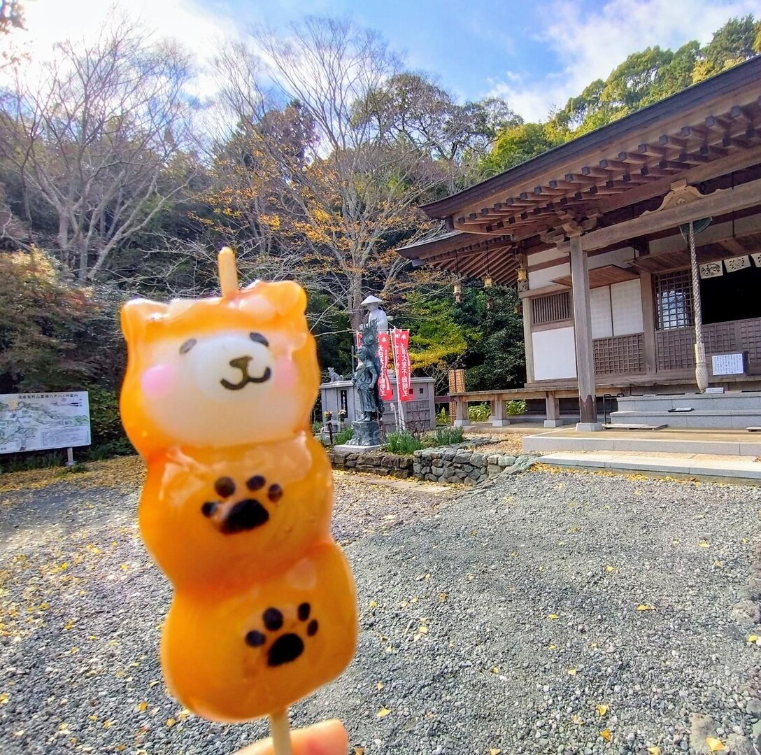 ♨️館山＆千駄ヶ谷🗻 / micoさんの東京都23区 中央エリアの活動データ | YAMAP / ヤマップ