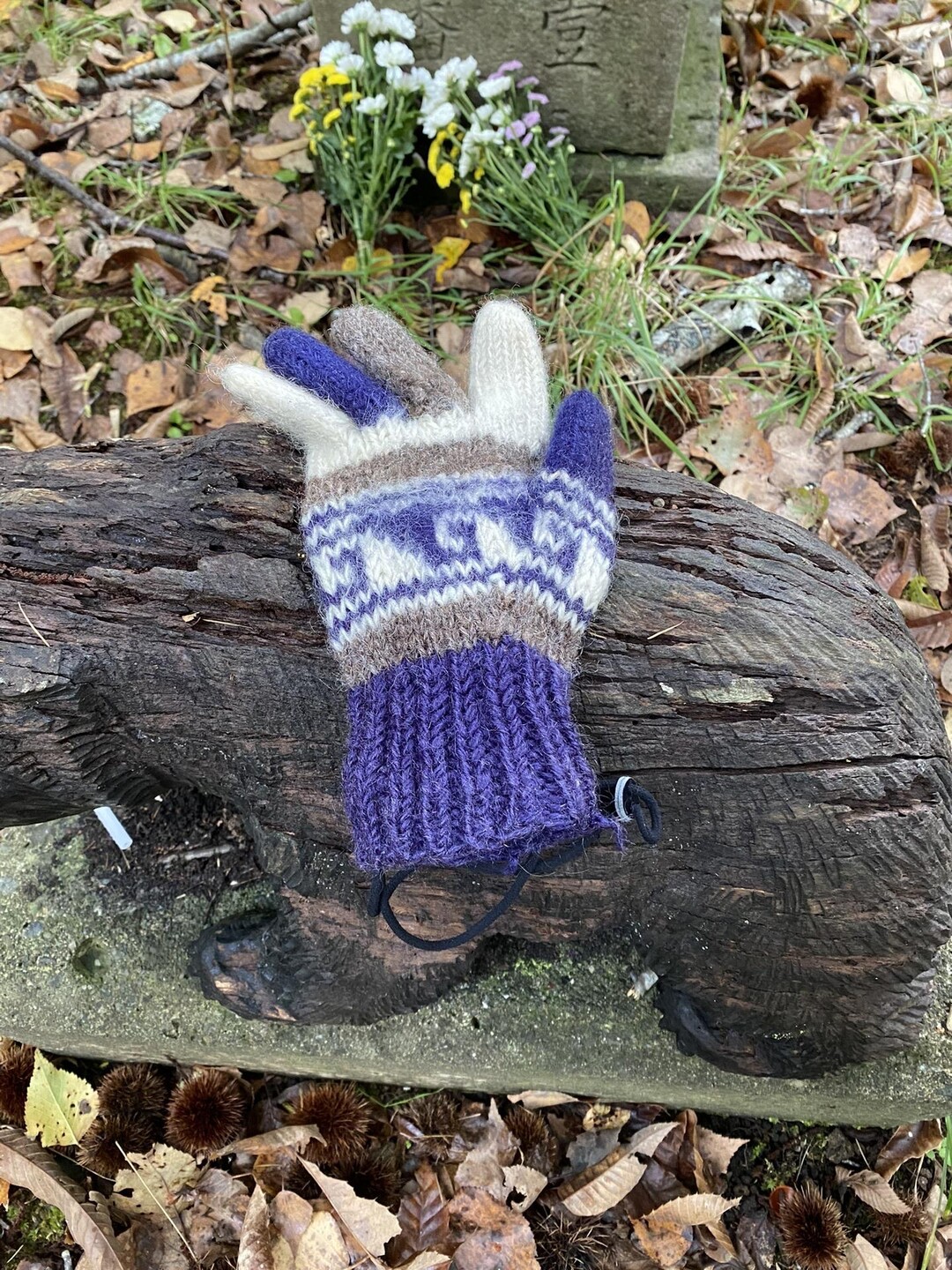 蝦夷松山 2023-10-22 / イタPさんの蝦夷松山・雁皮山の活動データ | YAMAP / ヤマップ