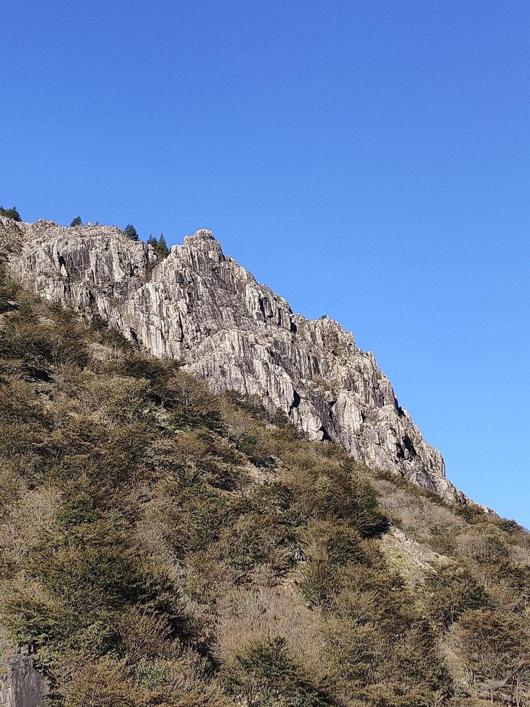 今週末は縦走行った人は羨ましい天気ですね... / mikanさんのモーメント | YAMAP / ヤマップ