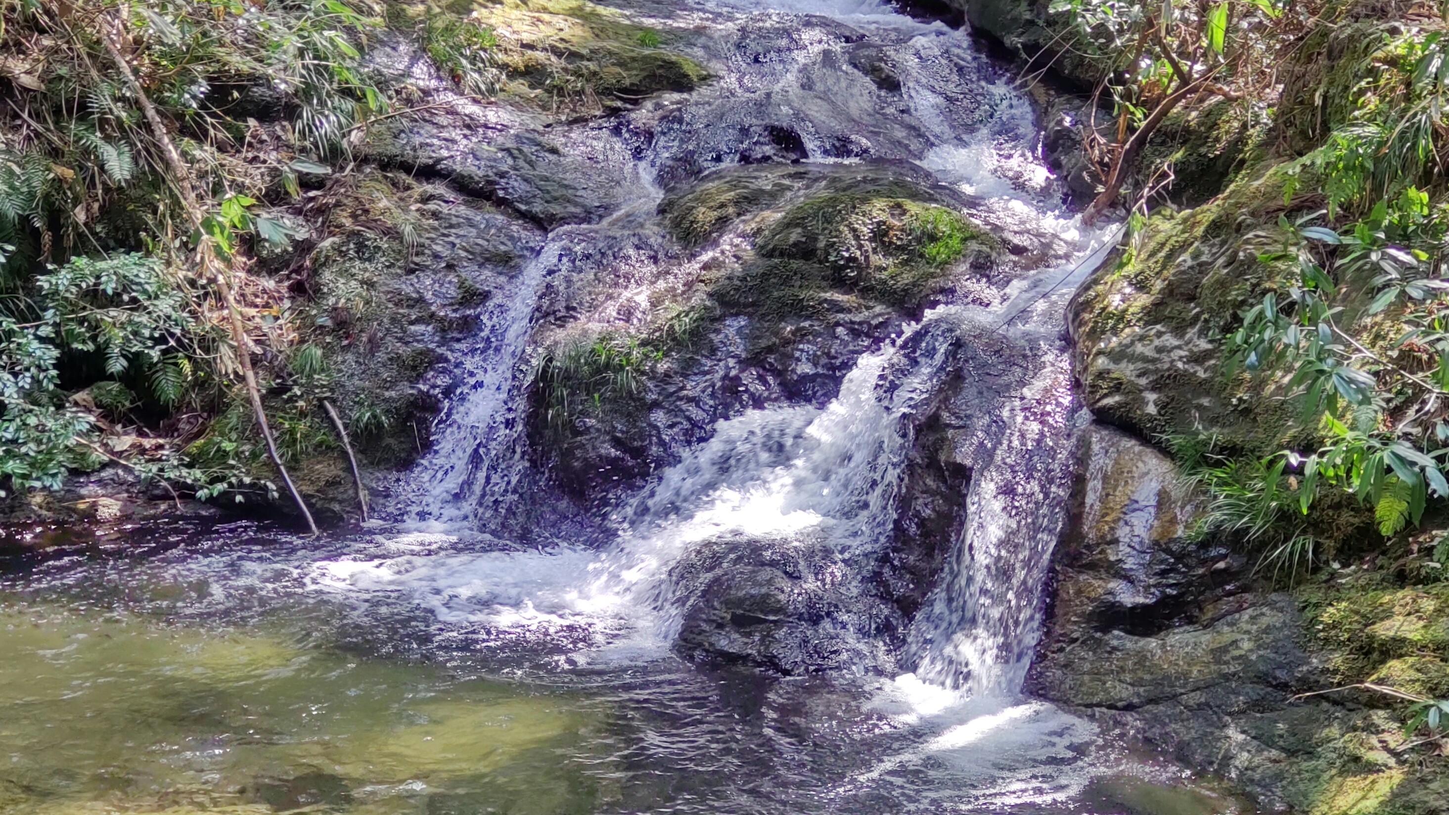 鞍掛山 https://tabibto.... / てんぐのこさんのモーメント | YAMAP / ヤマップ