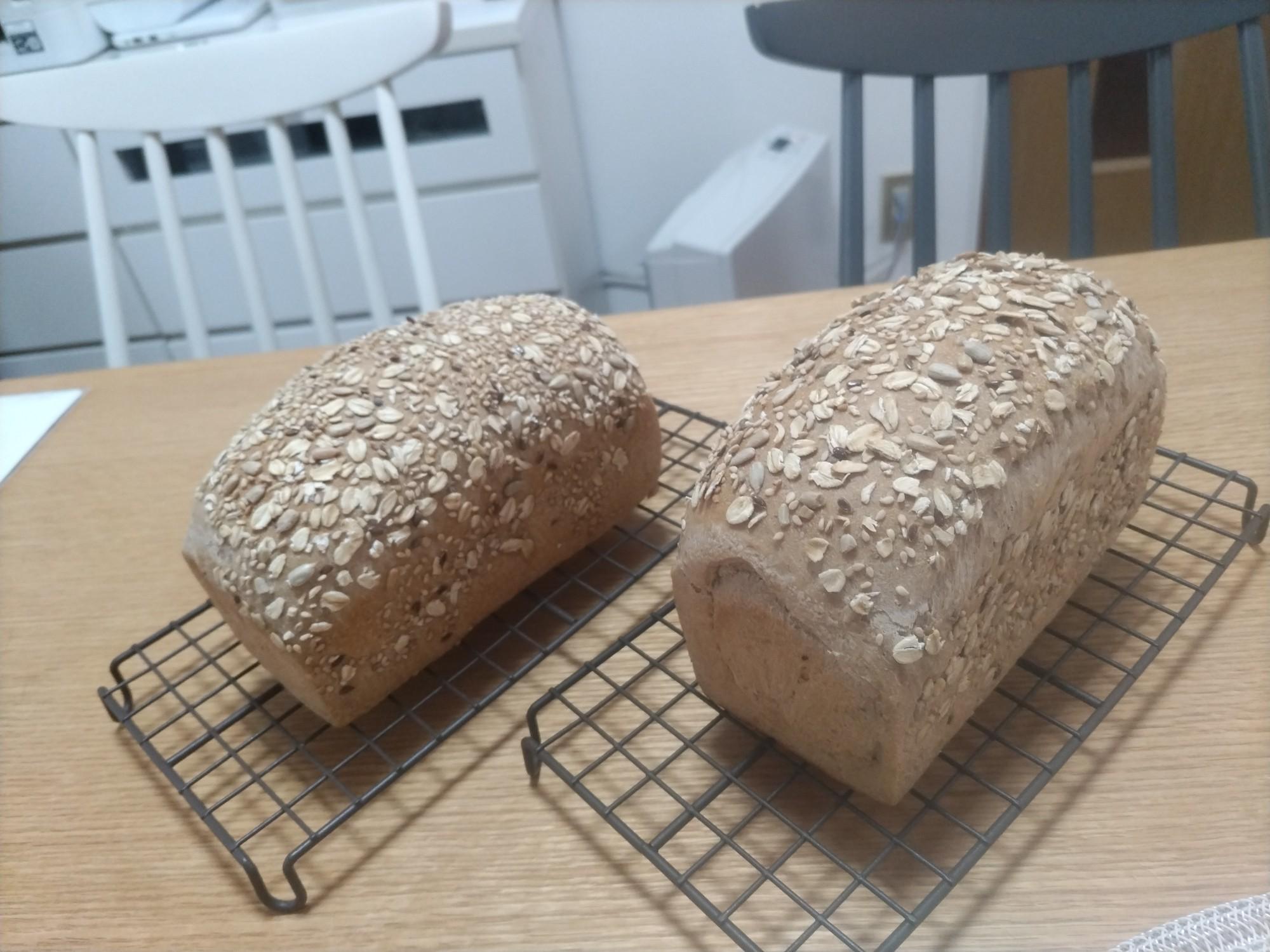 先日パン教室で作った食パン 食感も楽し... / おだや〜p(^-^)qさんのモーメント | YAMAP / ヤマップ