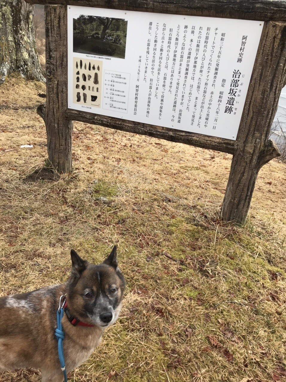 治部坂に行ってきました。アキ連れです🐕... / kieさんのモーメント | YAMAP / ヤマップ