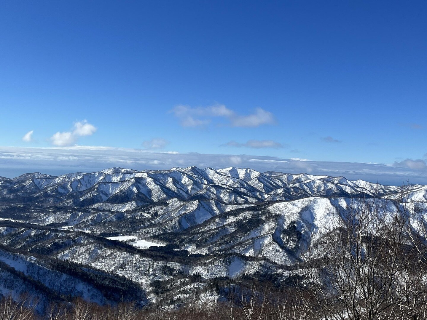 (南)別狩岳・ピークハント(増毛山地低山) / sweetyouさんの別狩岳の活動データ | YAMAP / ヤマップ