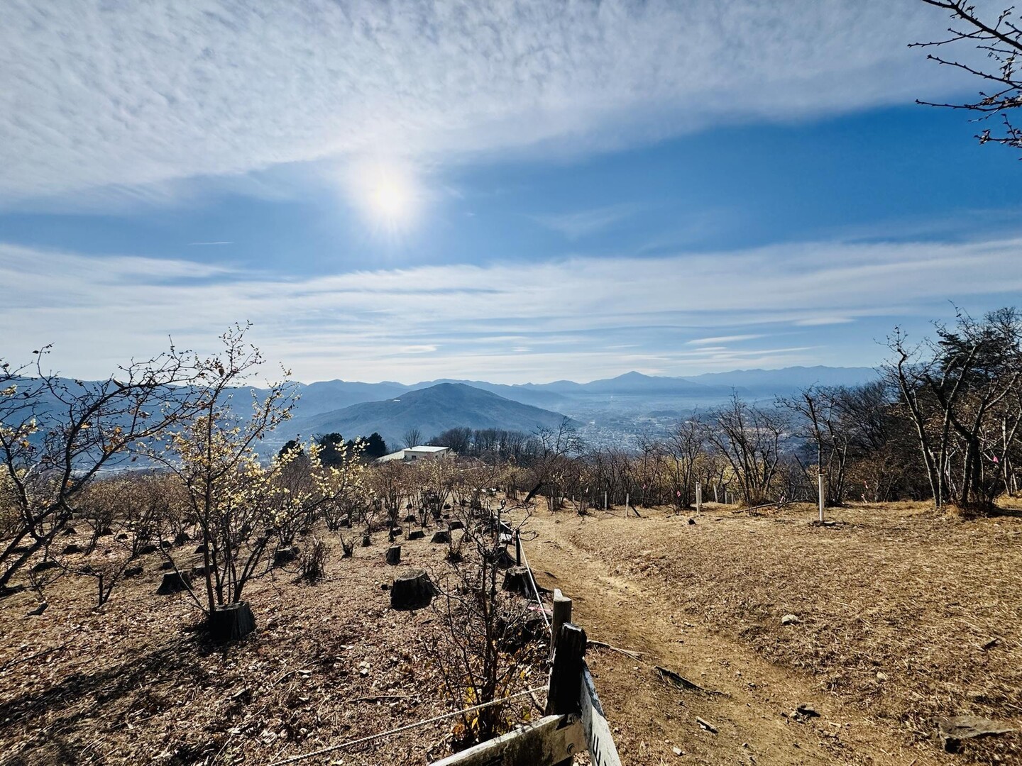 【長瀞アルプス】宝登山 / amuさんの宝登山・長瀞アルプス・不動山・陣見山・鐘撞堂山の活動データ | YAMAP / ヤマップ