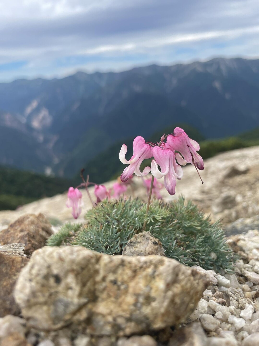 燕岳 / 9niさんの常念岳・大天井岳・燕岳の活動データ | YAMAP / ヤマップ
