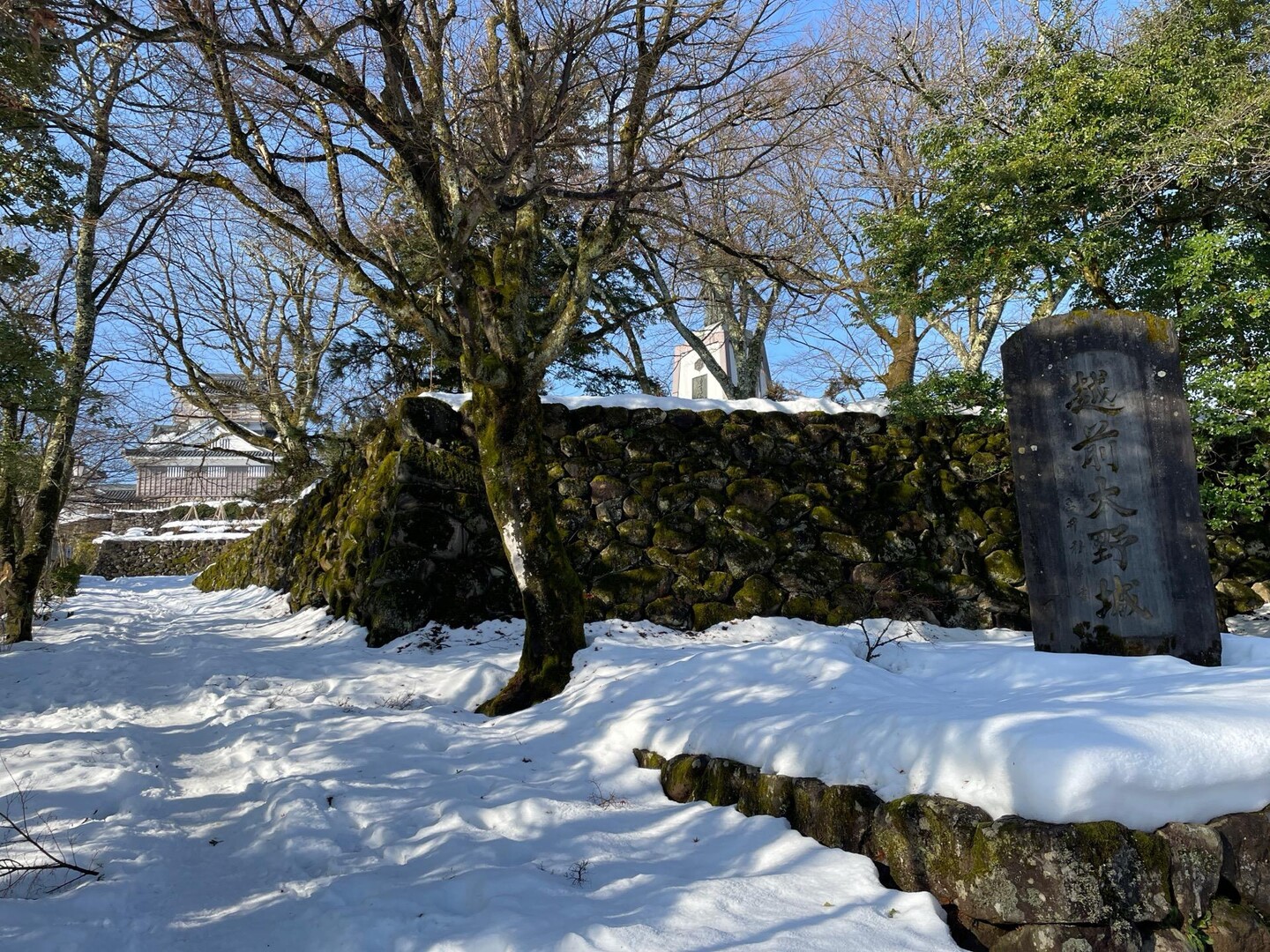 雪の亀山トレラン2025 / JOG太郎さんの飯降山（御岳）の活動データ | YAMAP / ヤマップ
