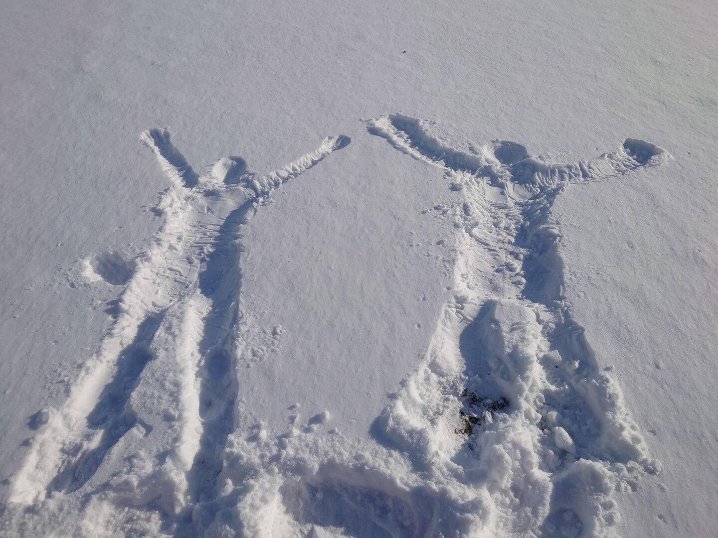 明けましておめでとうございます🎍 今年... / Gサーさんのモーメント | YAMAP / ヤマップ