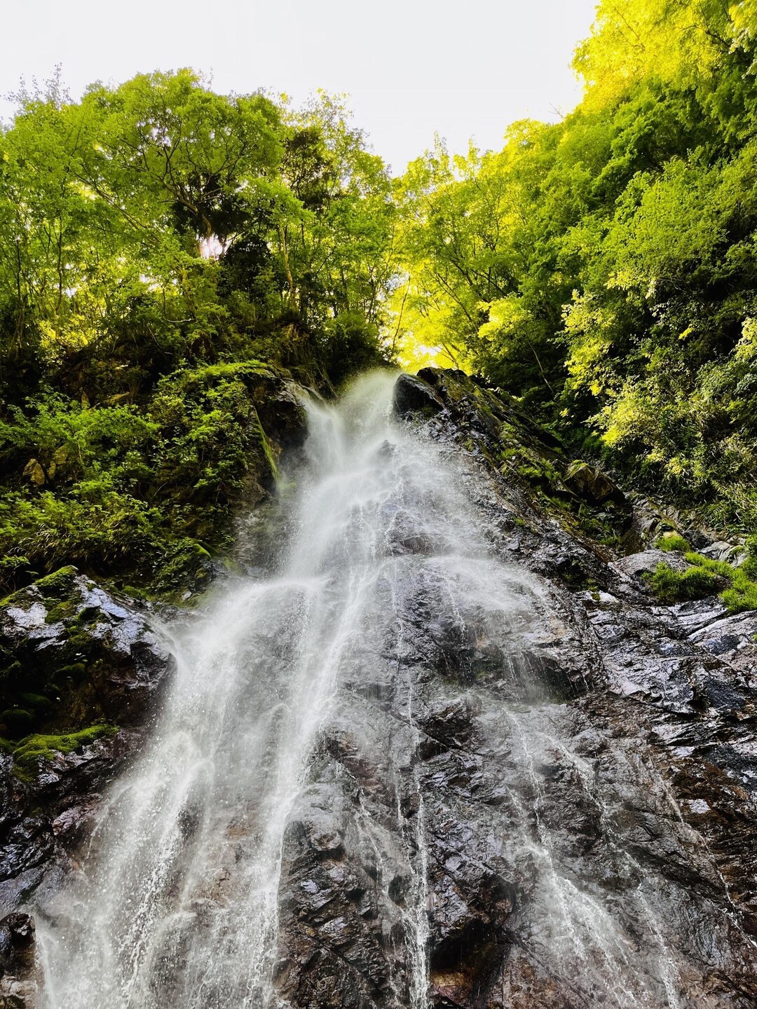 No one but me / HiroYouKiさんの塔ノ岳・丹沢山・蛭ヶ岳の活動データ | YAMAP / ヤマップ