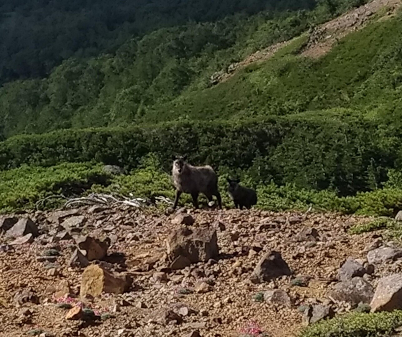 Tonaeのページ | YAMAP / ヤマップ