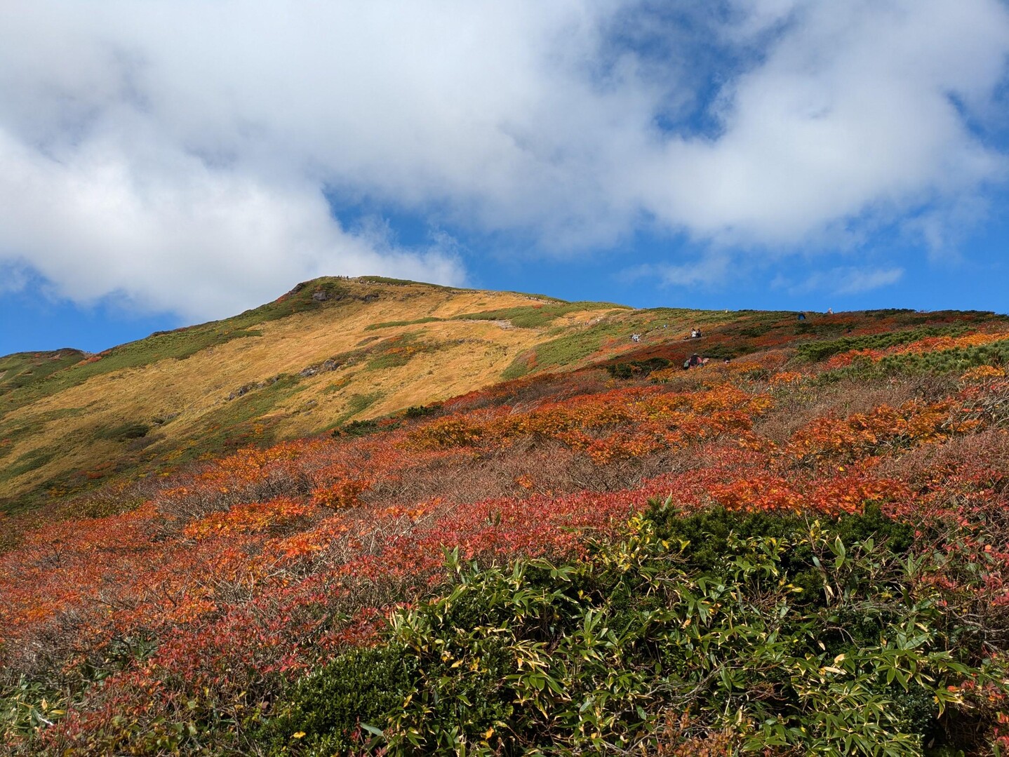 東栗駒山・栗駒山(須川岳) / K1さんの栗駒山（須川岳）・秣岳・虚空蔵山の活動データ | YAMAP / ヤマップ