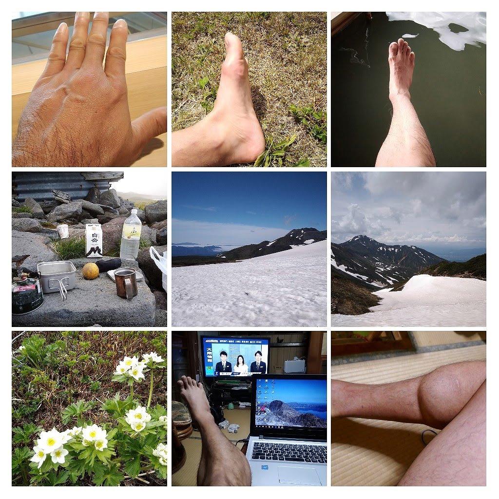 アーカイブより 自慢のふくらはぎヒラメ... / sin358さんのモーメント | YAMAP / ヤマップ