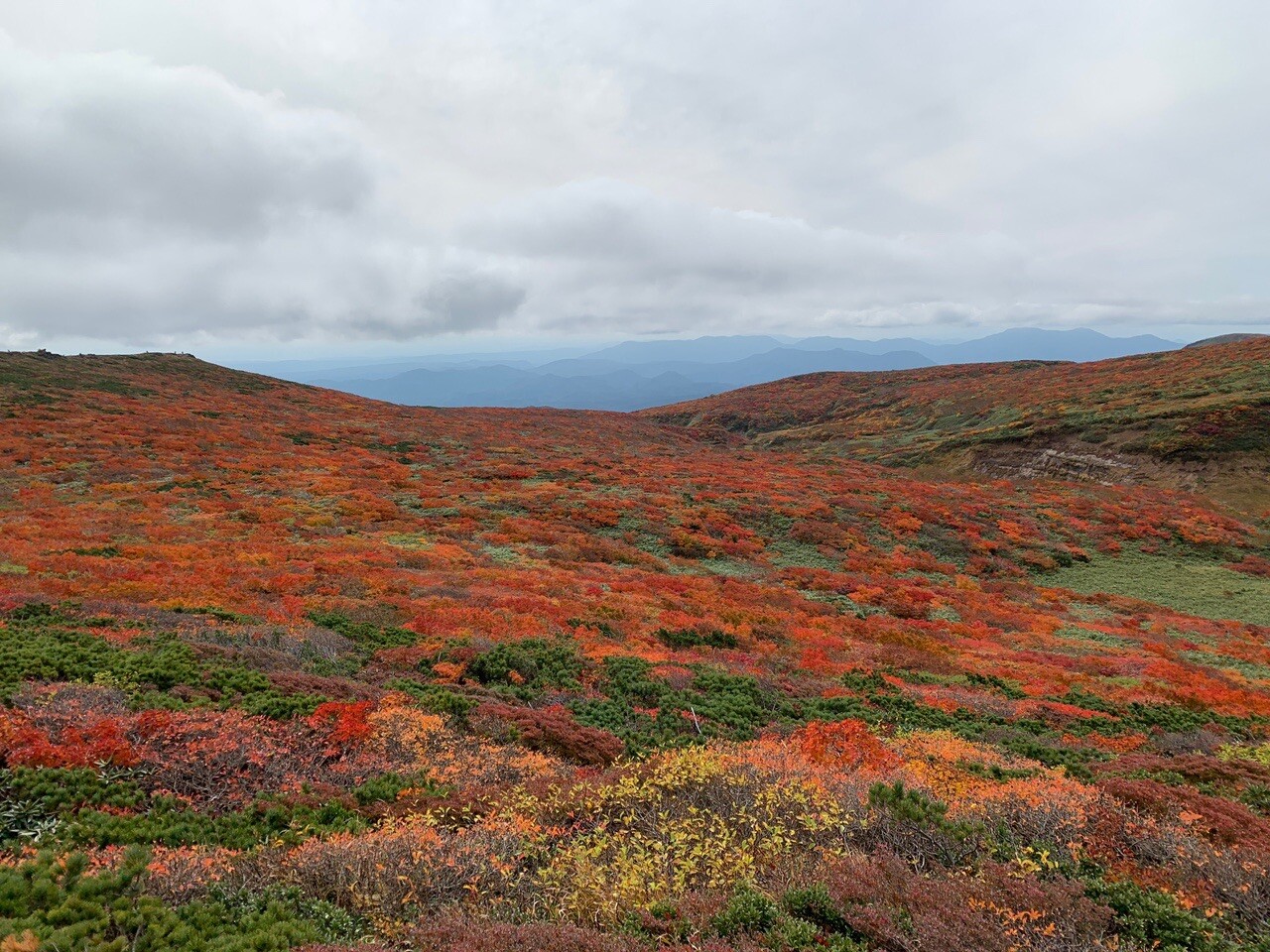 2020.10.09(金) 22:40 / ホヤぼーやさんのモーメント | YAMAP / ヤマップ